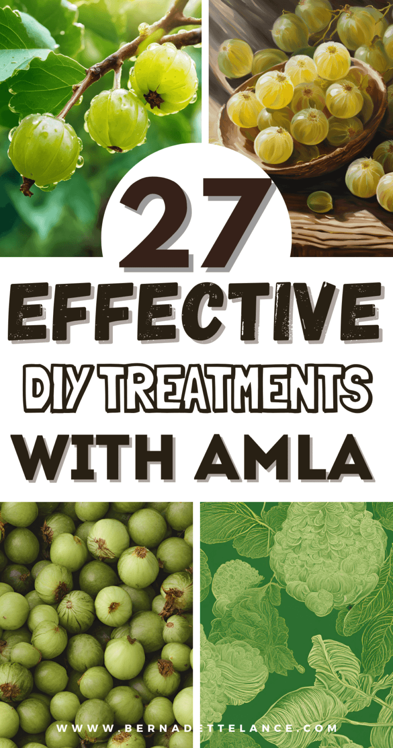 27 Amazing DIY Remedies with Amla: Unlock the Magic of the Superfruit ...